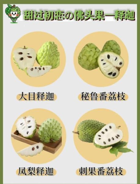 释迦果怎么吃_释迦果怎么挑-第3张图片-山城妙识