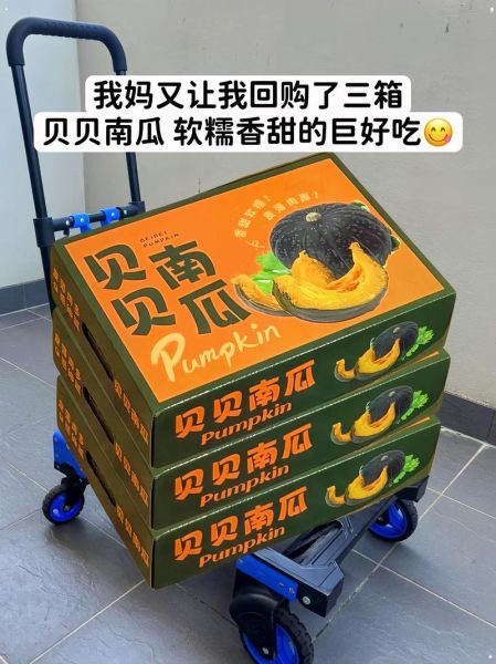 南瓜粉多少钱一斤_南瓜粉价格为什么差距大-第1张图片-山城妙识