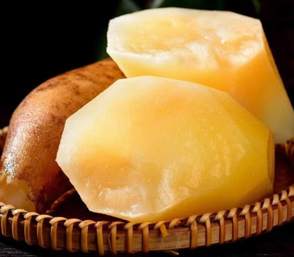 野生雪莲子长什么样_野生雪莲子外观特征-第1张图片-山城妙识