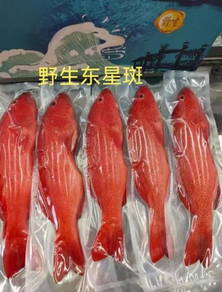 常见的深海鱼有哪些_深海鱼营养价值高吗-第3张图片-山城妙识