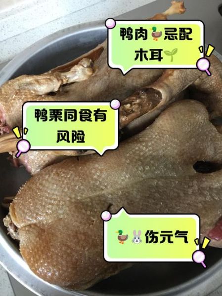 鸭肉什么人不能吃_鸭肉禁忌人群有哪些-第2张图片-山城妙识