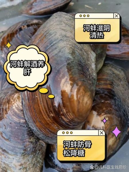 河蚌肉哪里能吃图解_河蚌哪些部位不能吃-第2张图片-山城妙识