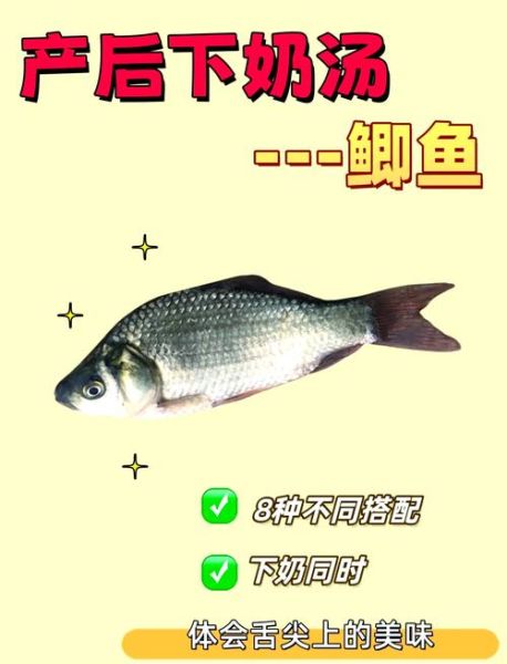 鲫鱼汤有什么功效_鲫鱼汤怎么炖最下奶-第1张图片-山城妙识