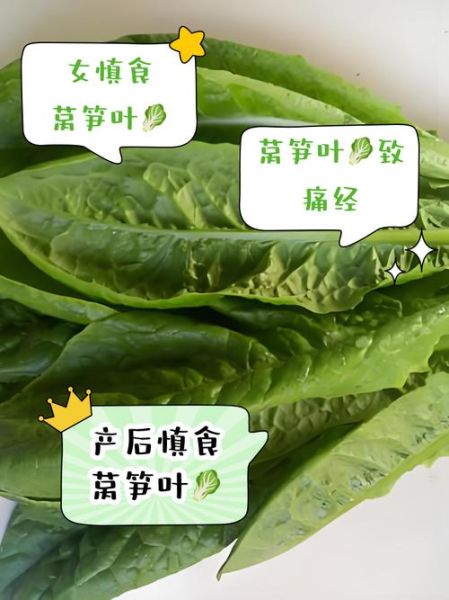 莴笋叶什么人不能吃_莴笋叶禁忌有哪些-第3张图片-山城妙识