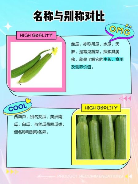 蒲瓜和西葫芦是一种吗_区别与营养价值-第2张图片-山城妙识