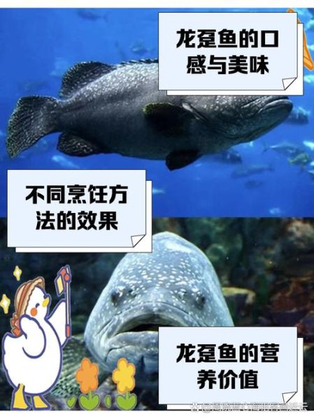 龙趸鱼的营养价值及功效_龙趸鱼适合什么人吃-第3张图片-山城妙识