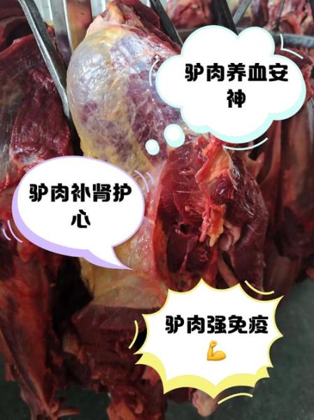 驴肉的营养价值及功效与作用禁忌_什么人不能吃驴肉-第2张图片-山城妙识