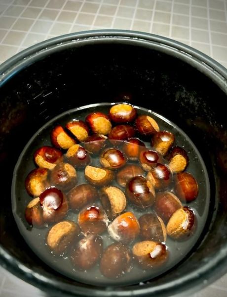 自己煮栗子怎么做_栗子煮多久才软糯-第3张图片-山城妙识