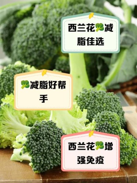 西兰花有什么营养价值_西兰花的功效与作用-第1张图片-山城妙识