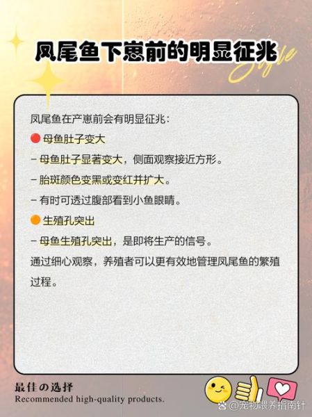 凤尾鱼下崽时忌讳什么_凤尾鱼繁殖注意事项-第3张图片-山城妙识
