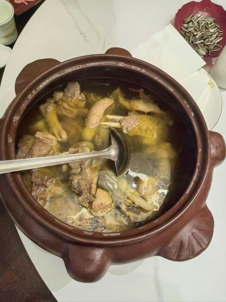 清炖鹅肉汤怎么做_清炖鹅肉汤去腥技巧-第1张图片-山城妙识