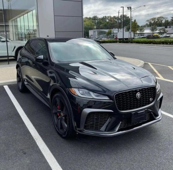 狮子头标志是什么车_狮子车标是什么品牌-第3张图片-山城妙识