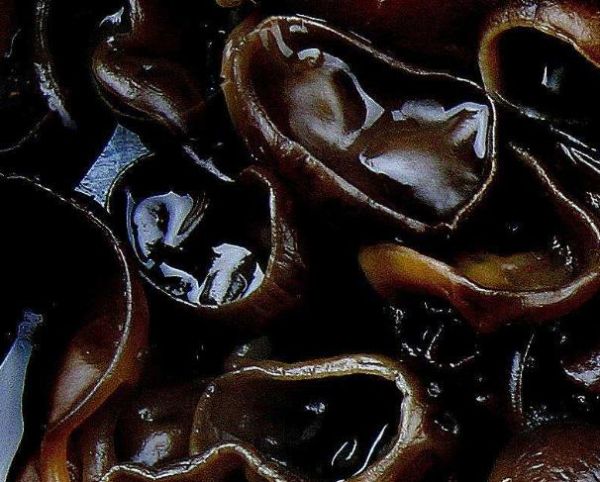 说女生是黑木耳什么意思_黑木耳网络含义解析-第3张图片-山城妙识