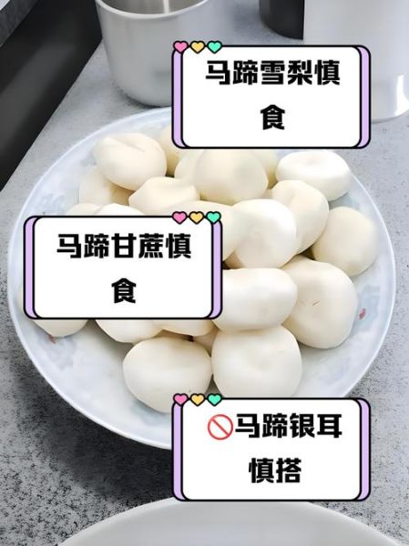 马蹄和什么相克_马蹄不能和什么一起吃-第1张图片-山城妙识