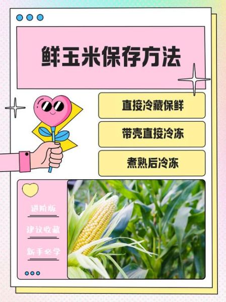 鲜玉米可以直接冷冻保存吗_冷冻鲜玉米的正确方法-第1张图片-山城妙识