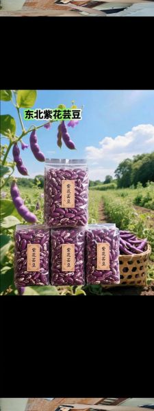 紫芸豆的功效与作用_紫芸豆怎么吃最营养-第3张图片-山城妙识