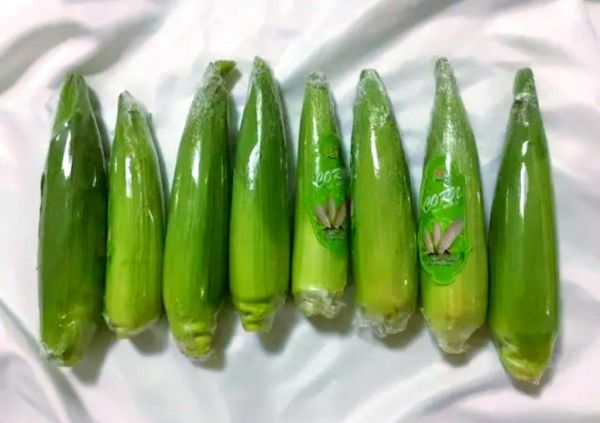 鲜玉米可以直接冷冻保存吗_冷冻鲜玉米的正确方法-第3张图片-山城妙识