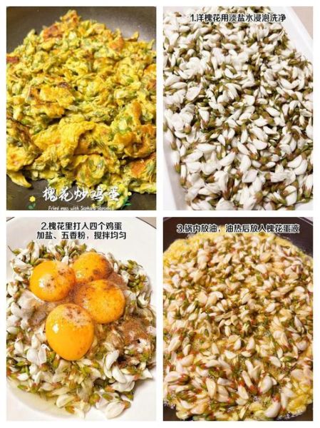 洋槐花炒鸡蛋的功效_洋槐花炒鸡蛋有什么营养价值-第2张图片-山城妙识