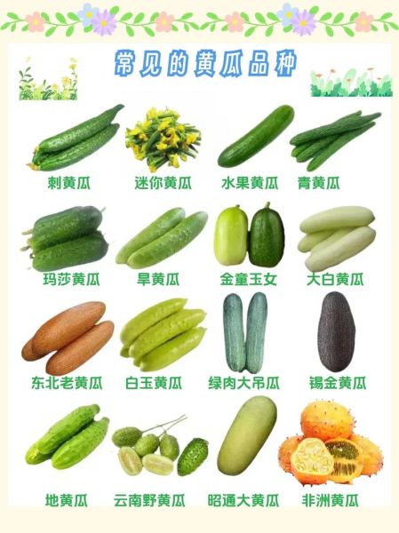 黄瓜有几种_黄瓜品种大全-第1张图片-山城妙识