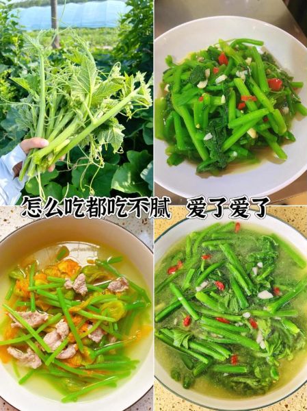 青南瓜怎么炒好吃_青南瓜炒几分钟才熟-第3张图片-山城妙识