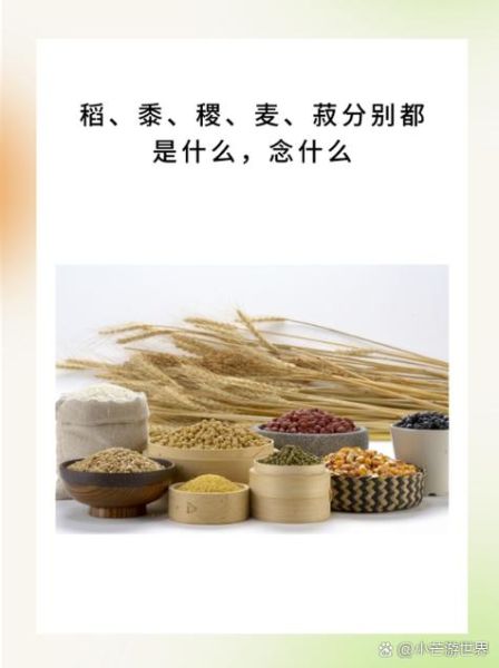 黍怎么读_黍是什么意思-第2张图片-山城妙识