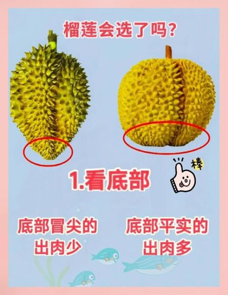 女人吃榴莲对皮肤好吗_榴莲美容功效真假-第1张图片-山城妙识