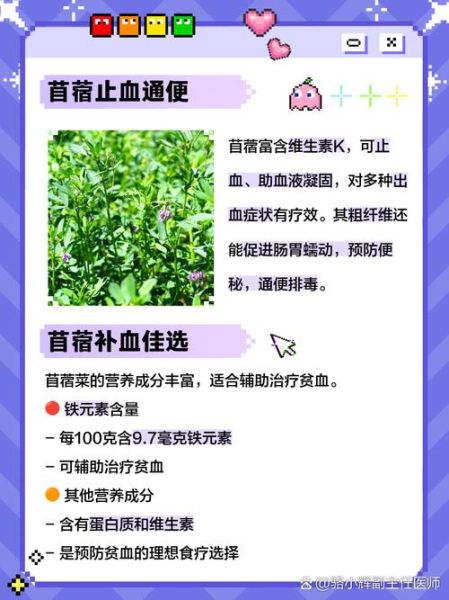 苜蓿菜图片功效_苜蓿菜有什么营养价值-第2张图片-山城妙识