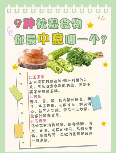 身体湿气太重怎么排湿_湿气重吃什么食物好-第3张图片-山城妙识