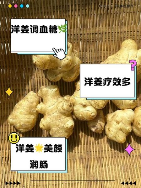 吃洋姜有什么好处_洋姜的功效与作用-第2张图片-山城妙识