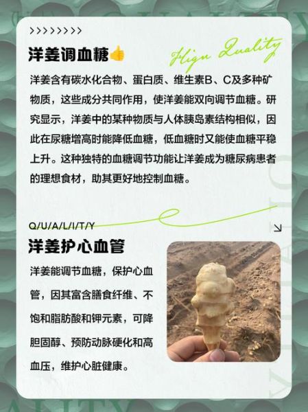 吃洋姜有什么好处_洋姜的功效与作用-第3张图片-山城妙识