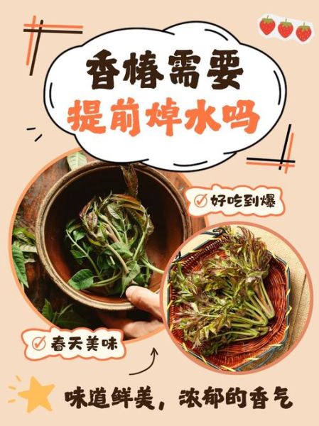 焯水香椿放冰箱一年还能吃吗_香椿冷冻一年有毒吗-第1张图片-山城妙识