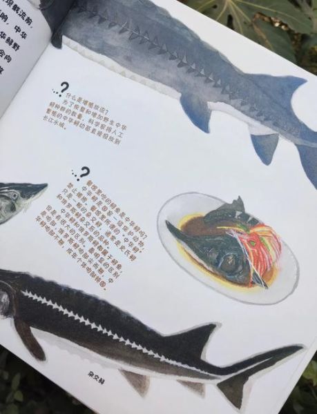 鲟鱼头能吃吗_鲟鱼头为什么不能吃-第2张图片-山城妙识