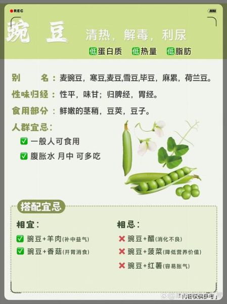 豆类食品的功效与作用_吃豆类食品有什么好处-第1张图片-山城妙识