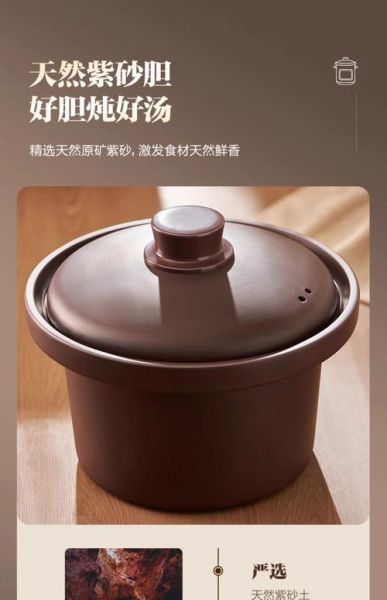 炖锅的做法大全_电炖锅怎么炖肉更嫩-第3张图片-山城妙识