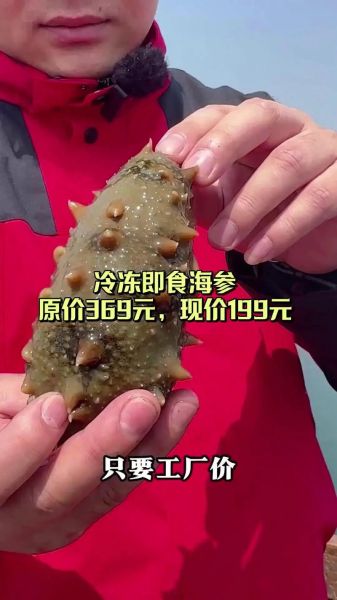 晓芹海参价格多少钱一斤_晓芹海参和獐子岛海参哪个好-第2张图片-山城妙识