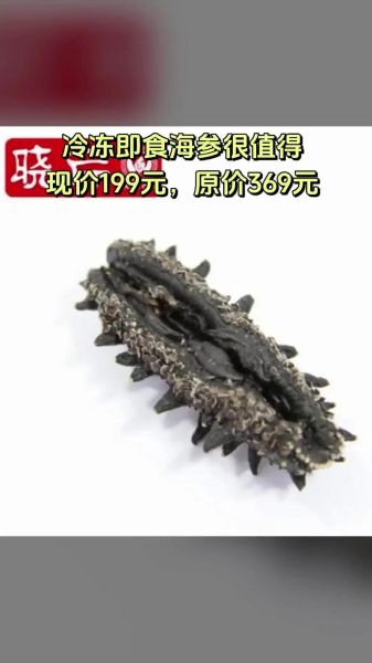 晓芹海参价格多少钱一斤_晓芹海参和獐子岛海参哪个好-第3张图片-山城妙识