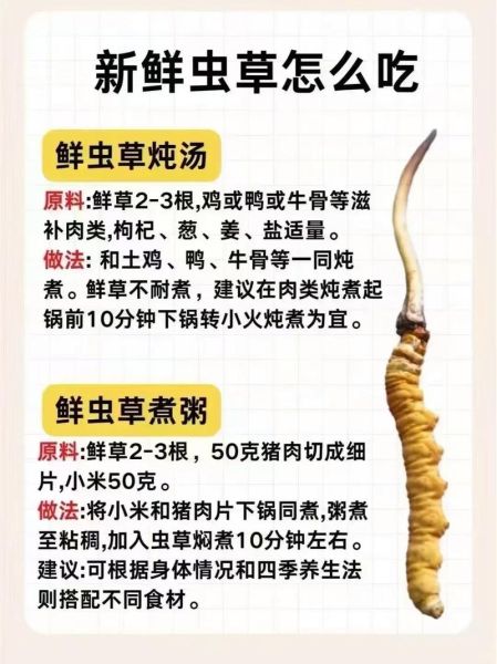 虫草的功效与作用价格_多少钱一克才合理-第3张图片-山城妙识