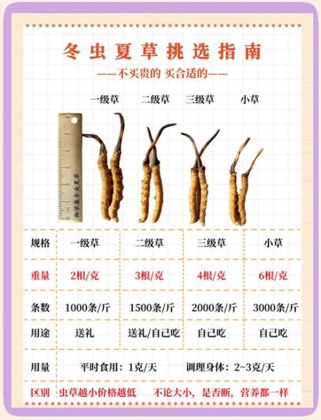 虫草的功效与作用价格_多少钱一克才合理-第2张图片-山城妙识