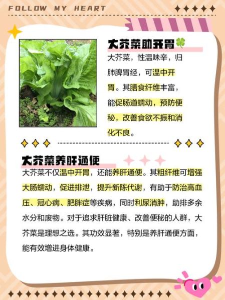 芥菜图片功效与作用_芥菜怎么吃最营养-第2张图片-山城妙识