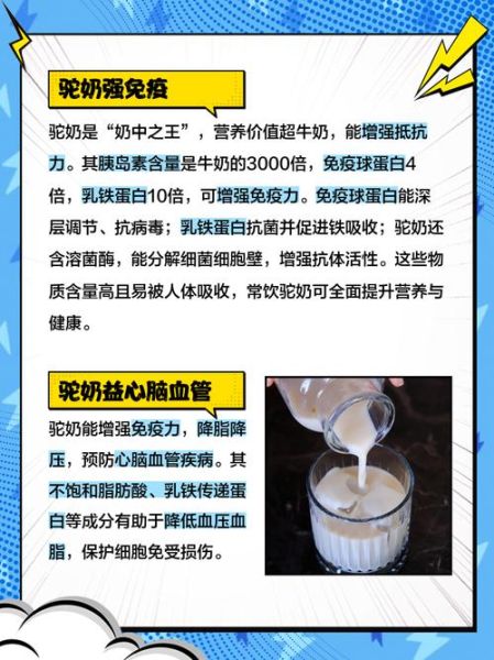 驼奶的功效与作用利弊_适合什么人喝-第2张图片-山城妙识