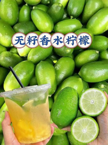 青柠檬能减肥吗_青柠檬怎么吃美白-第3张图片-山城妙识