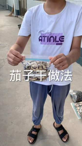 茄子干怎么晾晒_茄子干晾晒窍门-第1张图片-山城妙识