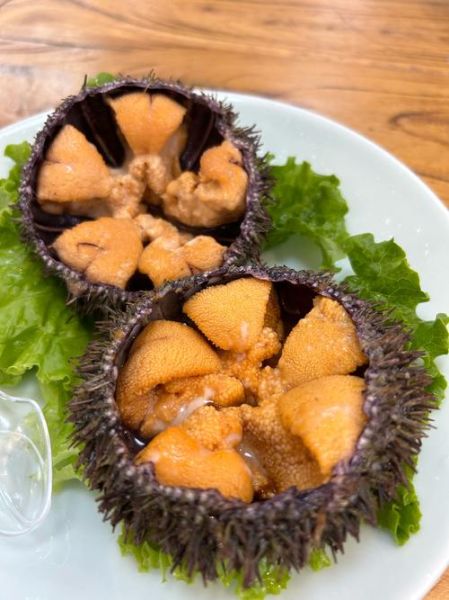 海胆什么味道_海胆好吃吗-第1张图片-山城妙识