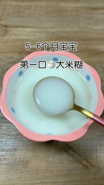 自制米糊的做法_宝宝辅食米糊怎么做-第1张图片-山城妙识