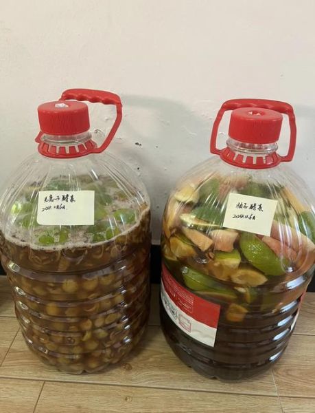 酵素的做法大全_自制酵素比例怎么调-第3张图片-山城妙识