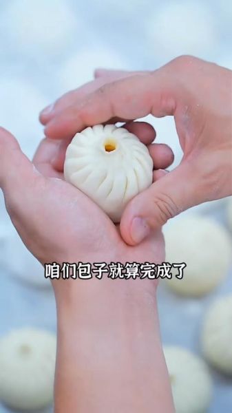 包子怎么包才好看_新手包子包法视频教程-第2张图片-山城妙识