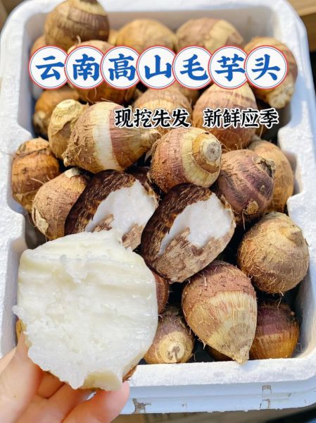 芋艿头怎么做好吃_芋艿头热量高吗-第2张图片-山城妙识