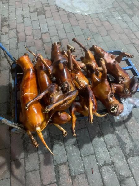 狗肉图片_狗肉图片是否违法-第1张图片-山城妙识 狗肉图片_狗肉图片是否违法-第1张图片-山城妙识