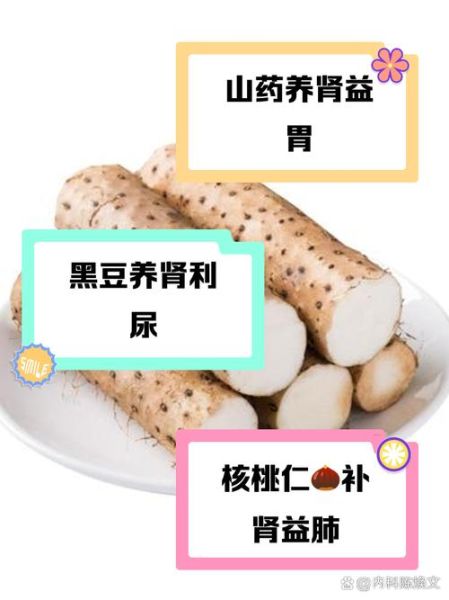 吃什么壮阳补肾更持久_男人肾虚吃什么食物好-第2张图片-山城妙识