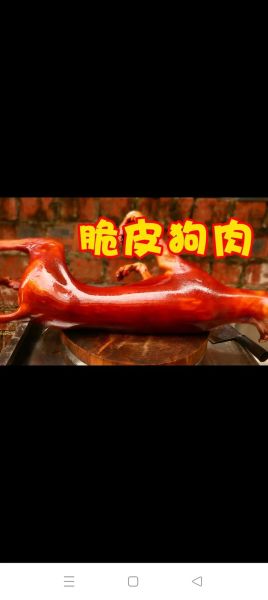 狗肉图片_狗肉图片是否违法-第3张图片-山城妙识 狗肉图片_狗肉图片是否违法-第3张图片-山城妙识